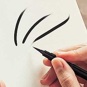 Pentel Arts Pocket Brush Pen, Includes 2 Black Ink Refills (GFKP3BPA)