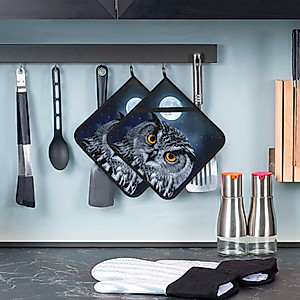 Potholders 2 Pieces Set, Owl Animals Hot Pads with Anti-Scald Cotton Infill Material