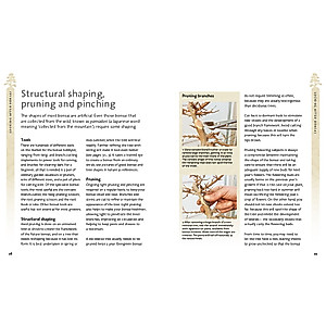 The Bonsai Beginner's Bible