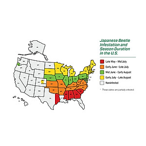 RESCUE! Japanese Beetle Trap – Reusable Bag