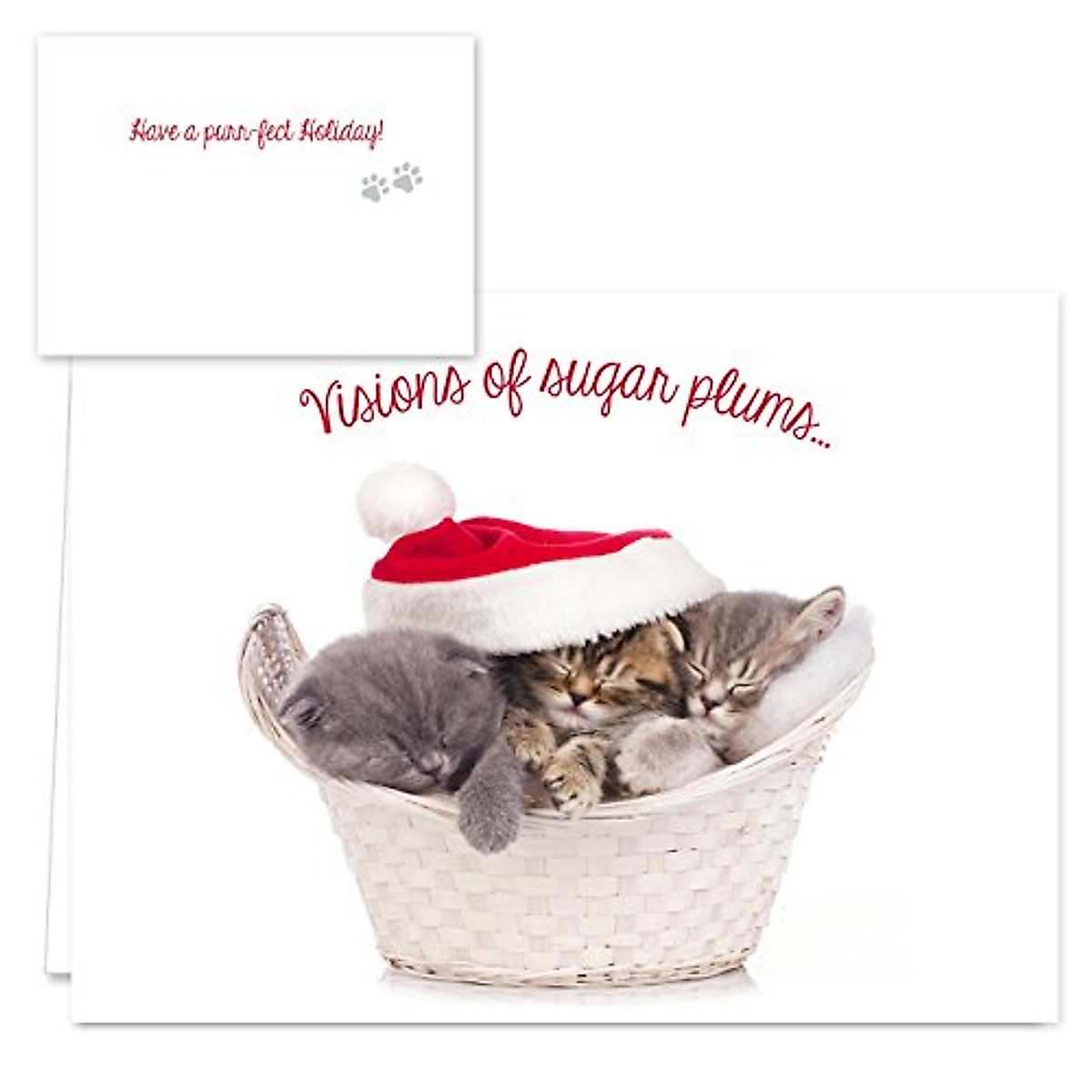 Christmas Cats Holiday Card Assortment Pack / 25 Seasonal Kitten Greeting Cards And Envelopes / 5 Sleeping Santa Animal Designs And Christmas Messages