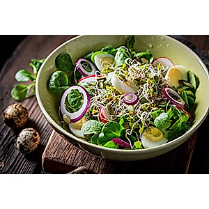 Nature Jims Sprouts Salad Sprout Mix - Organic Salad Mix for Growing - Non-GMO Microgreen Seeds - Healthy Broccoli, Alfalfa, Radish, Clover Sprouting Seeds Variety Mix - Microgreens Growing 1lb