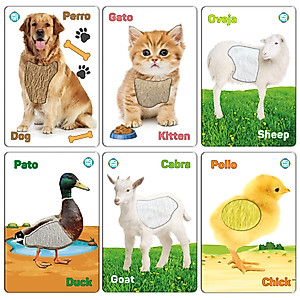 My Touch and Feel English Spanish Bilingual Picture Double Sided Sensory Flash Cards for Infant, Toddlers, Kids, Learn Animals, Fruits, Objects and Vehicles, Fun Learning and Educational Flashcards