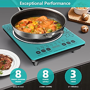 TYEMUI 2200W Induction Hot Plate,Portable Electric Cooktop Single Burner High Power Electrical Hot Plates for Cooking in Dorm, Apartments, Home 110V-120V