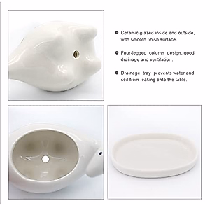 GeLive White Dinosaur Ceramic Succulent Planter Flower Plant Pot Window Box with Saucer Cartoon Animal Decor