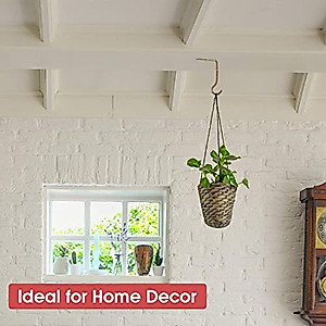 2 Pack 6 Inch Premium Decorative Metal Iron Wall Hook, Rustic Plant Hanger, Indoor Outdoor Gardening Bracket Hook, for Planters, Bird Feeders, Lanterns, Wind Chimes, by RIGHT+LEFT (Coffee)