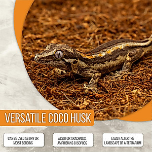 ReptiEarth Reptile Bedding, Fluffy Coconut Fiber Substrate Organic Coco for Bioactive Snake Terrarium, Lizard Tanks with Plants, for Frog Habitat, Tarantula or Hermit Crab Enclosure (72 Quart Block)