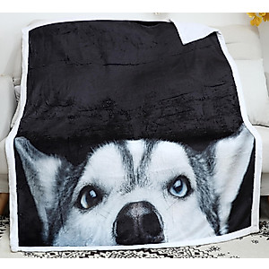 Zevrez Husky Dog Blanket, Cute Husky Gifts Kids Throw Blanket with Dog on It Soft Flannel Blanket Gift for Husky Lovers Boys Girls Sofa Bed(Dog 3, 48"x60")