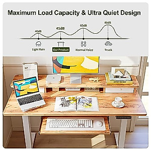 BANTI 48'' Height Adjustable Electric Standing Desk with Keyboard Tray, Home Office Desk Computer Workstation with Storage Shelf, Sit Stand Desk, Light Rustic Top