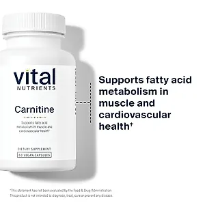 Vital Nutrients - Carnitine - Cardiovascular and Fat Metabolism Support - L-Carnitine Supplement - Heart Health Support - Supports Fatty Acid Transport - 60 Vegetarian Capsules per Bottle - 500 mg