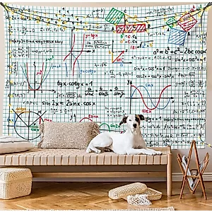 Lunarable Mathematics Room Tapestry, Algebra Studies Lesson Notebook Page Sketches Formula Design Print, Fabric Wall Hanging Decor for Bedroom Living Room Dorm, 45" X 30", Multicolor