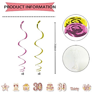 30th Birthday Decorations for Women, Rose Gold 30th Birthday Decorations Includes 30th Birthday Banner and Hanging Swirls for Women, 30th Birthday Party Supplies 17PCS
