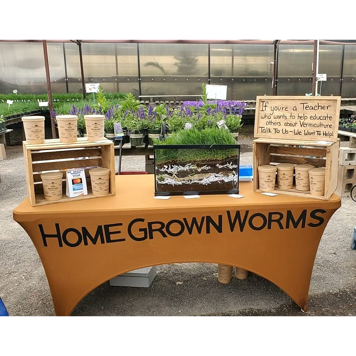 HomeGrownWorms.com - 100+ Live Red Wiggler Worms, from Certified Organic Farm + Free Care Sheet! 100% Compostable Packaging! Sustainably Raised - Fast Live Delivery! Eisenia Fetida