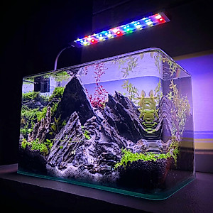 FISCAPE 5 PCS 2-8'' Natural Seiryu Stones Slate Stones for Aquariums Terrariums, Paludarium, Vivariums, Reptile, and Amphibian Enclosures