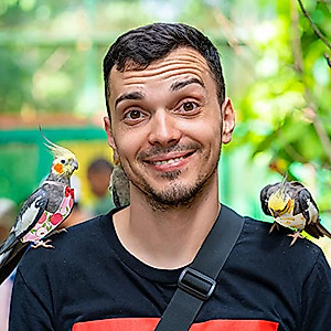 6 Pieces Bird Diaper Washable Parrot Diapers Reusable Bird Flight Suit Diaper Waterproof Inner Layer Protective Parrot Nappy Clothes for Parakeet Parrot Mini Macaw Budgie Canary, Fruit Style (Medium)