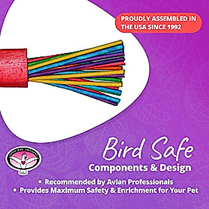 Super Bird Creations SB301 Chewable Paper Party Bird Toy with Colorful Lollipop Sticks, Large Size, 6.5” x 1.5” x 1.5”,Varies