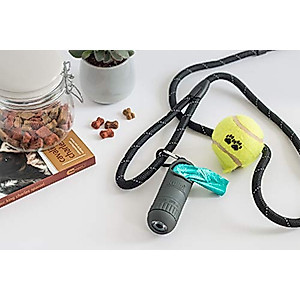 KONG HandiPOD - Mini Flashlight Dispenser - Dog Waste and Small-Sized Poop Bag Dispenser with Built-in Flashlight - Includes Leash Clip - Light Grey - Small