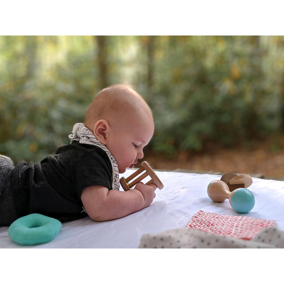 Posh Mattress Pad Protector 2 Pak 34x36 Incontinence Potty Training Pets