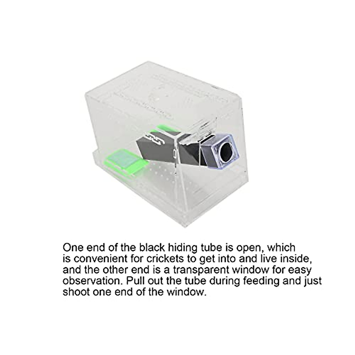 Luroze Cricket Care Kit, Easy to Cricket Keeper Tank Box High Transparency Acrylic Material for Home for Office(S)