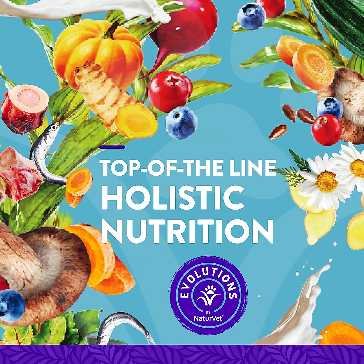 NaturVet Evolutions Probiotic & Superfoods 90ct Soft Chews for Dogs - Prebiotic & Probiotic Blend, Digestive Enzymes, Bone Broth, Omega's - Nourishes Natural Gut Bacteria and Intestinal Microflora