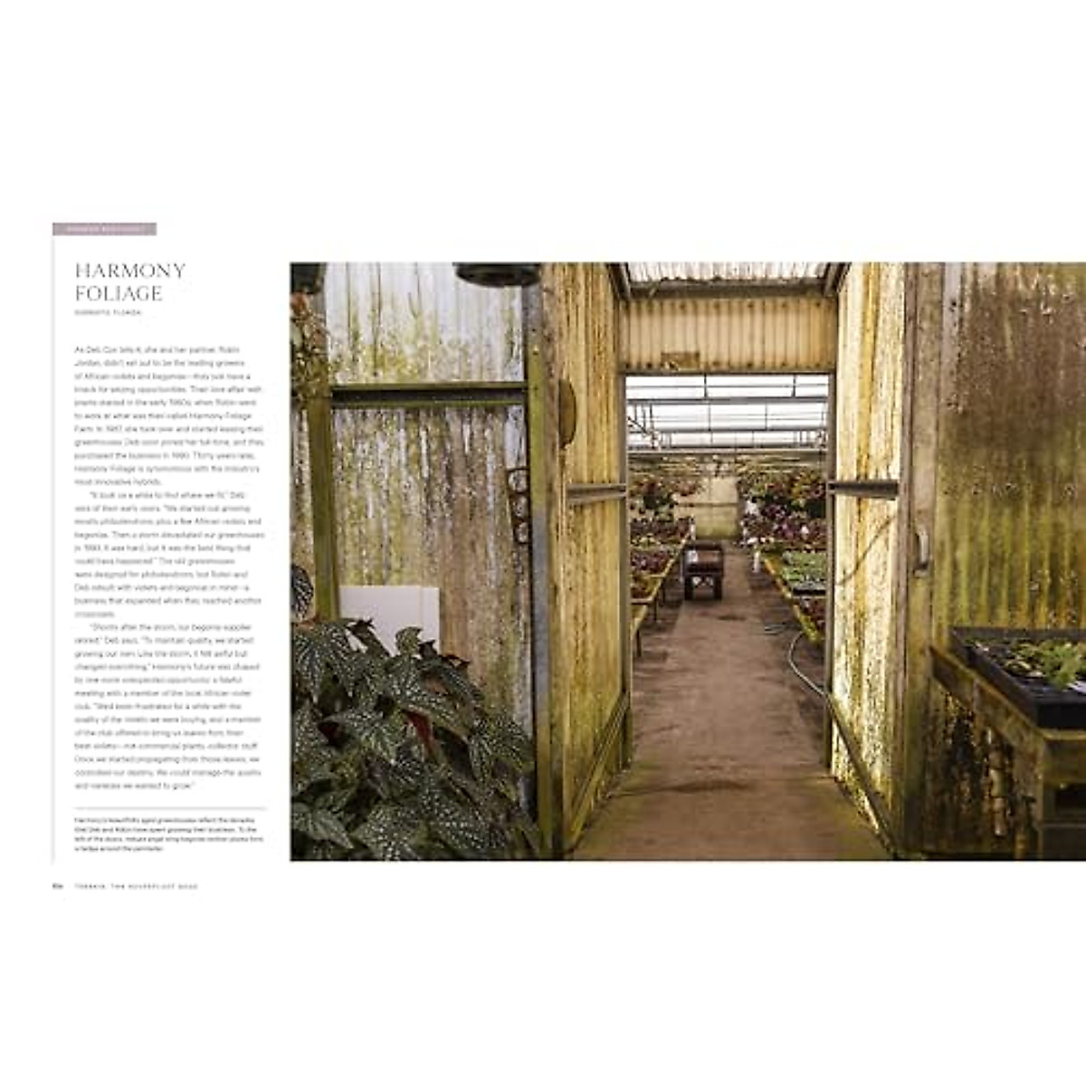 Terrain: The Houseplant Book: An Insider’s Guide to Cultivating and Collecting the Most Sought-After Specimens