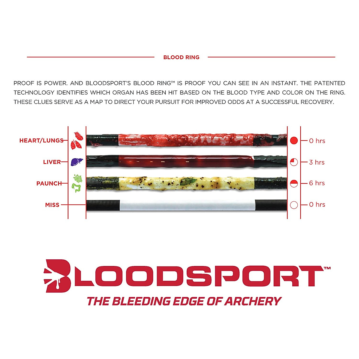 BLOODSPORT Evidence Precise Durable Carbon Fletched Hunting Arrow for Compound Bow - 31" Length.165 Micro-Diameter.001 Straightness, 6 Pack, 300 Spine,Black