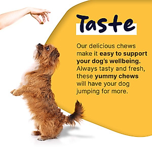 Calming Chews for Dogs with Melatonin - 60 Delicious Soft Treats for Dog Anxiety Relief for Large and Small Dogs - Includes Chamomile, Thiamine, L-Tryptophan - Promotes Rest and Relaxation