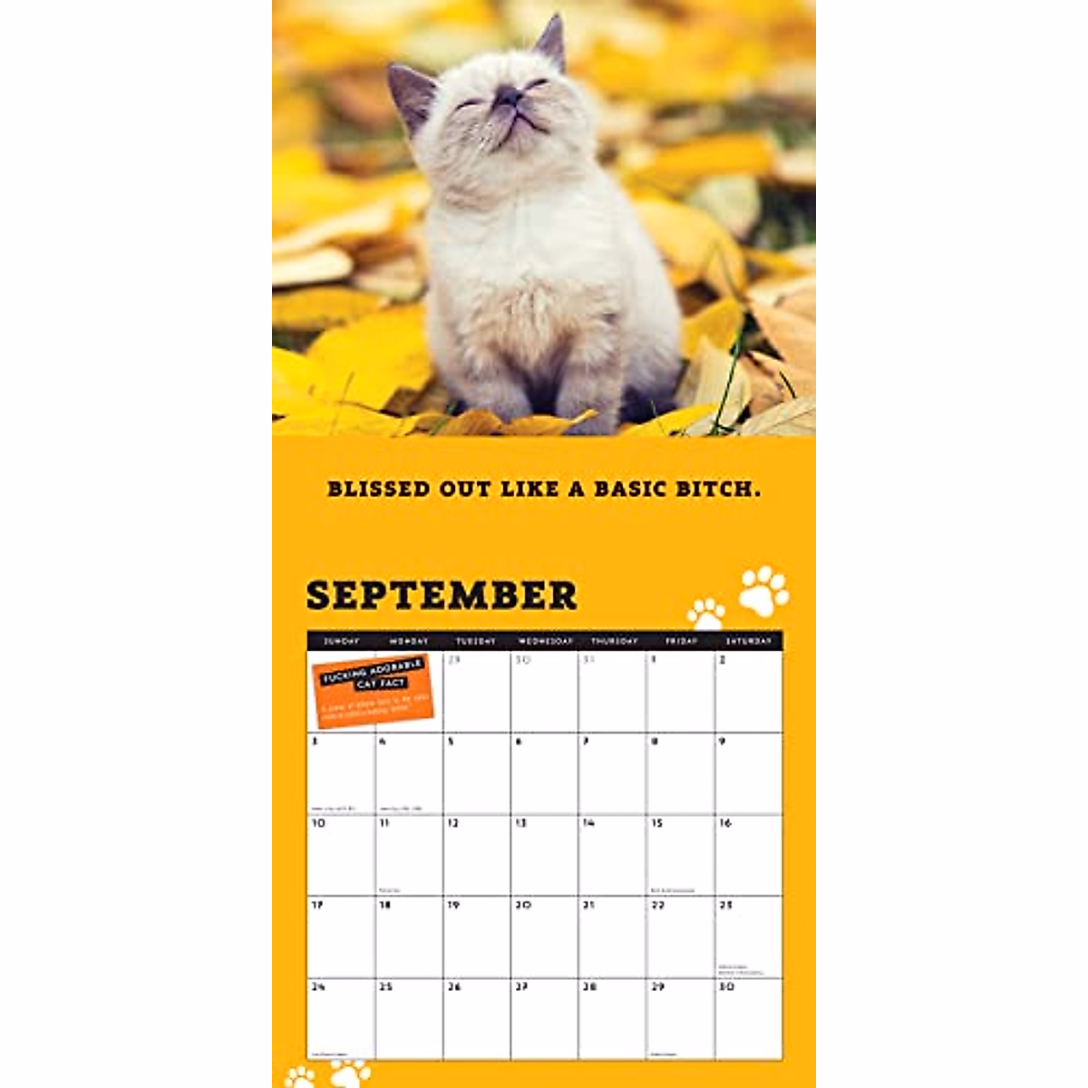 2023 Too F*cking Cute Cats Wall Calendar: A Year of D*mn Adorable Kitties (Funny Monthly Calendar & White Elephant Gag Gift for Cat Lovers)