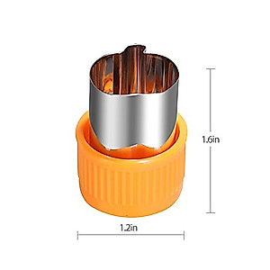 Mini Cookie Cutter Set 30 pcs for Kids Vegetable Cutters and Fruit Stamp Mold Different Shapes and Sizes Stainless Steel