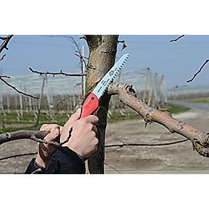 Felco Folding Saw (F 600) - Classic Tree Pruning Saw with Pull-Stroke Action, Red