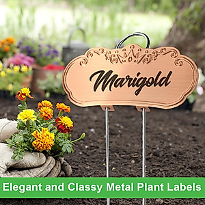 TCYPUHL Metal Plant Labels, Tall Plant Labels, Garden Labels Outdoors for Flower, Fruit and Vegetable, Stainless Steel, Weatherproof (25 Pack, 4'' x 1.10'', Gold)