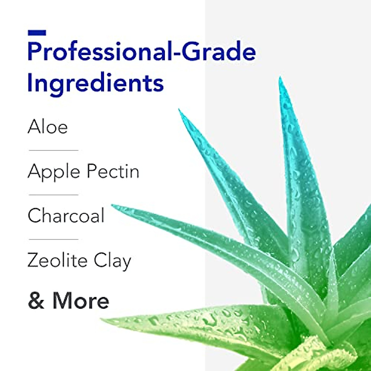 G.I. Detox+ Gentle Binder by Biocidin - GI Intestinal Cleanse with Silica, Apple Pectin, Humic Powder, Charcoal & Aloe - Assists in Toxin & Biofilm Removal - Vegan (60 Capsules)