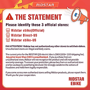 Ridstar 1000W 30MPH Fat Tire Electric Motorcycle with Removable 48V20Ah Battery and Full Suspension