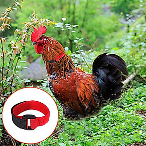 Tkocisa 3 Pack No Crow Rooster Collar, Chicken Collar Anti-Hook Noise Free Neckband No Crow Noise Neck Belt for Roosters - Prevent Chickens from Screaming, Disturbing Neighbors