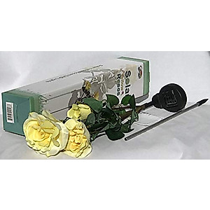 Solar Yellow Rose Flower Lights, Solar Powered Garden Outdoor Decorative Landscape LED Rose Lights Year-Round, Great Gift