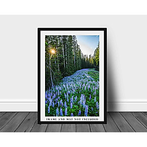 Rocky Mountain Photography Print (Not Framed) Vertical Picture of Purple Lupine in Pine Tree Forest in Montana Wildflower Wall Art Nature Decor (5" x 7")