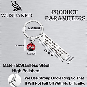WUSUANED Good Luck Ladybug Keychain When She Swoops In It Remind Us Not Be Let Worries Cloud A Single Day Ladybug Lover Gift