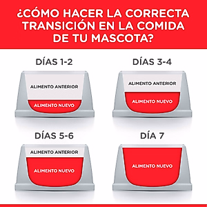 HILL'S Science Diet Large Breed Adult Dry Dog Food, 35 lbs.