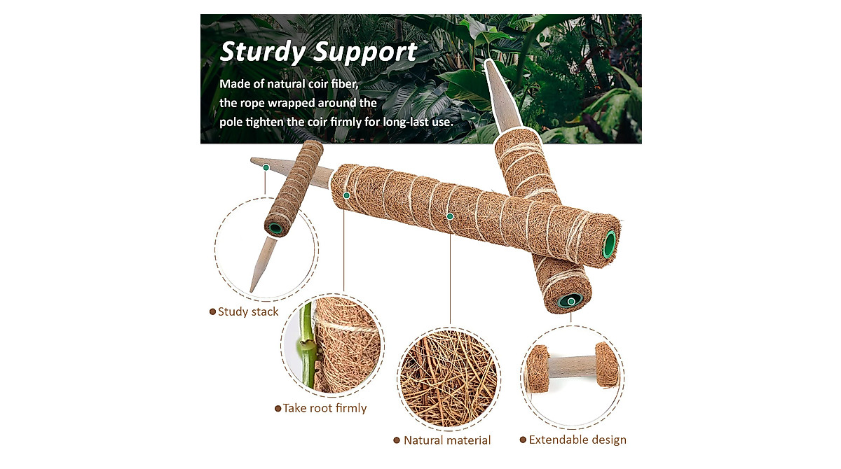 Premium Moss Poles 90 Inch Pack for Climbing Plants - Support and Grow