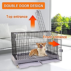 Cat Dog Crate Pet Kennel Steel Wire Small Animal Crate for Rabbit with Drawer Leak-Proof Tray, Double Door, 29 Inch