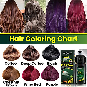 Birsppy Instant Hair Colouring Shampoo, 3 in 1 Black Hair Shampoo, Instant Black Hair Dye Shampoo Darkening Shampoo Hair Growth Shampoo for Men Women,500ml Herbal Hair Darkening Shampoo (Black)