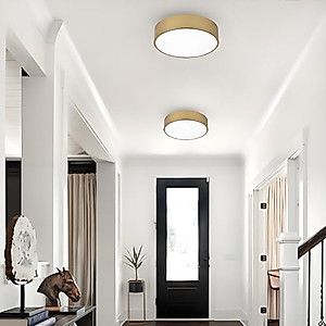 erpymi Modern Gold Flush Mount Ceiling Light, 2-Lights Round Ceiling Light, Minimalistic Ceiling Lamp Acrylic Shade Lighting Fixture for Bedroom Laundry Room Bathroom Hallway(11.8 Inch)