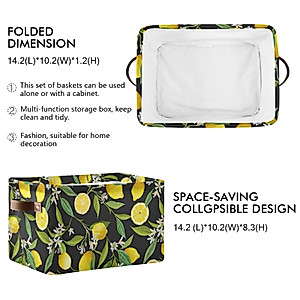 xigua Lemon Flower Storage Baskets,Large Decorative Collapsible Rectangular Canvas Fabric Storage Bin for Home Office(15x11x9.5inch,1 Pack)