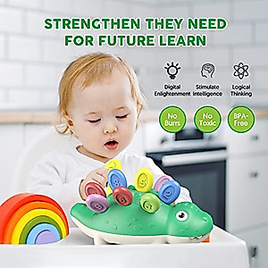 Baby Sensory Montessori Toys for 1 Year Old Boy,Toddler Toys Learning Educational Dinosaur Games,Fine Motor Skills Sorting Travel Toys, Birthday Gifts for 18+ Months Age 1 2 3 One Year Old Boys Girls