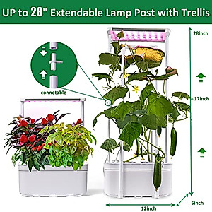eSuperegrow Hydroponics Growing System,Smart Hydroponic Gardening System with LED Grow Light,Indoor Garden Hydroponic Herb Grow Kit with Climbing Trellis for Short Tomato,Basil,Pepper,Cucumber