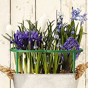 12Packs Plant Support Stakes Half Round Plant Stakes for Indoor Plants, Stackable 3 Tier Garden Flower Support, Plant Cages for Tomato,Monstera, Peony, Hydrangea, Climbing Plants