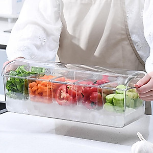 TRBIDRBO Ice Chilled Caddy with 5 Containers and Lid - Chilled Condiment Server for Fruit, Snack, Sauce Garnish Tray - 2.4cup Each Dishes