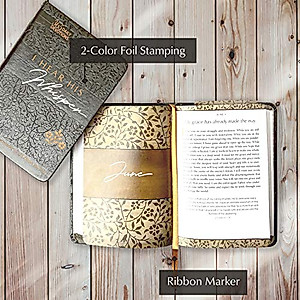 I Hear His Whisper: Encounter God's Heart for You, 365 Daily Devotions (The Passion Translation) (Imitation Leather) – Daily Messages of God's Love, ... More. (The Passion Translation Devotionals)