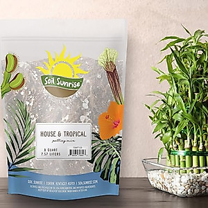 Tropical House Plant Potting Mix (8 Quarts); for All Types of Indoor House Plants