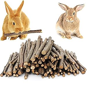 Youngever 300g Apple Sticks, Treat Food, Pet Chew Toys for Rabbits, Chinchillas, Guinea Pigs, Hamsters